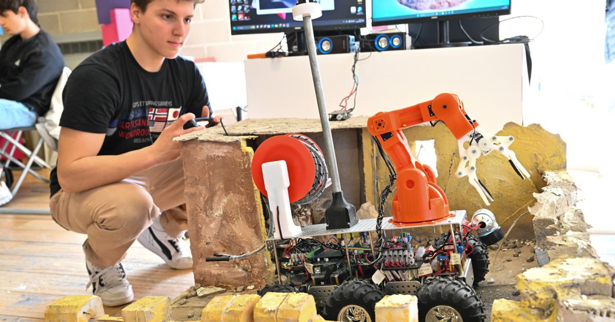 The Values of Robotics