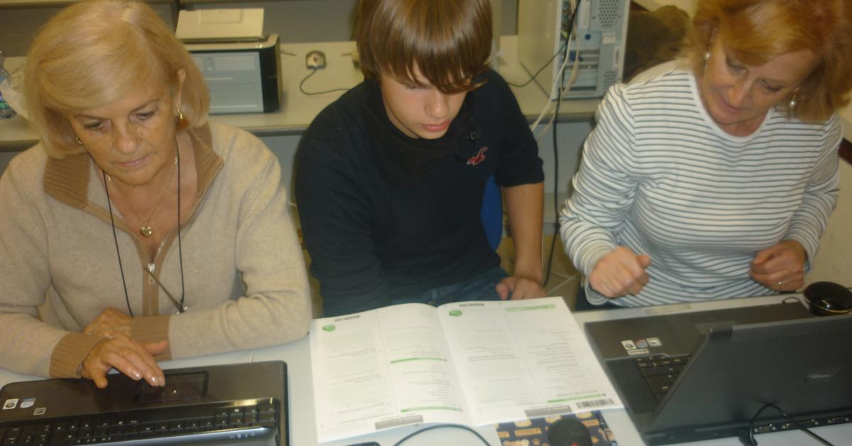 Completing the Istat Questionnaire